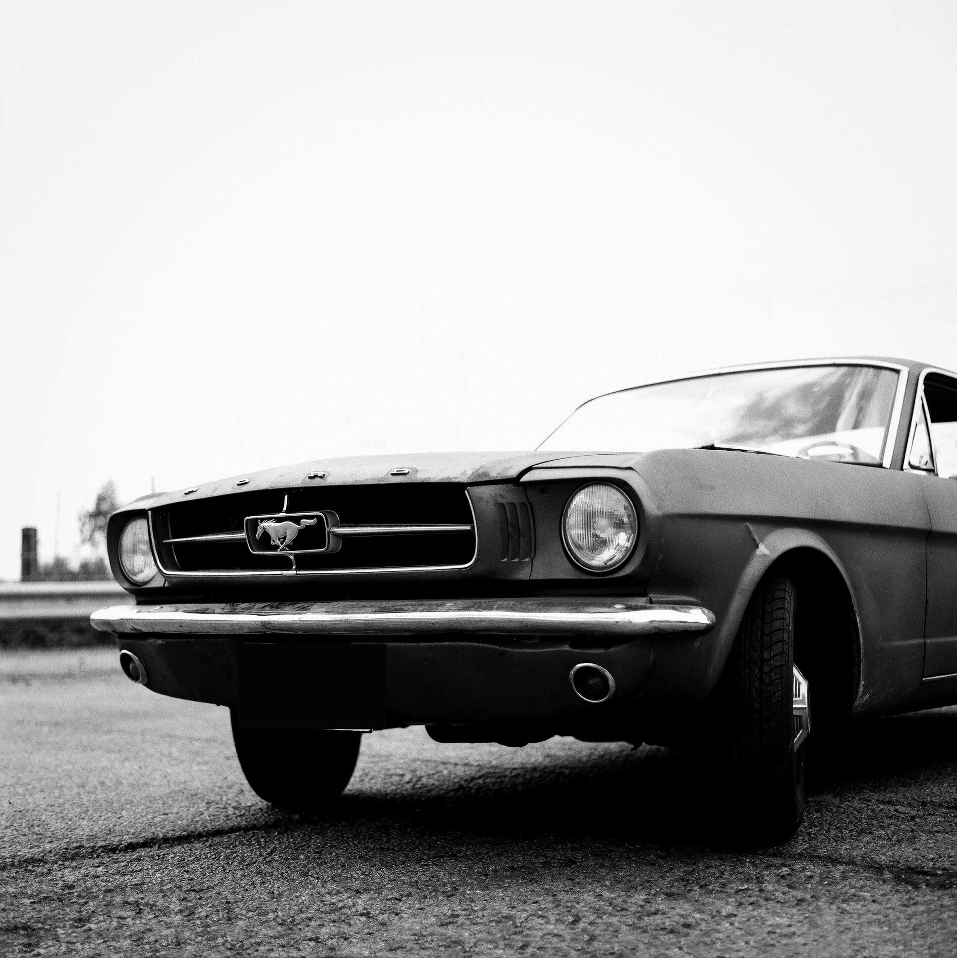 Nelson's Mustang